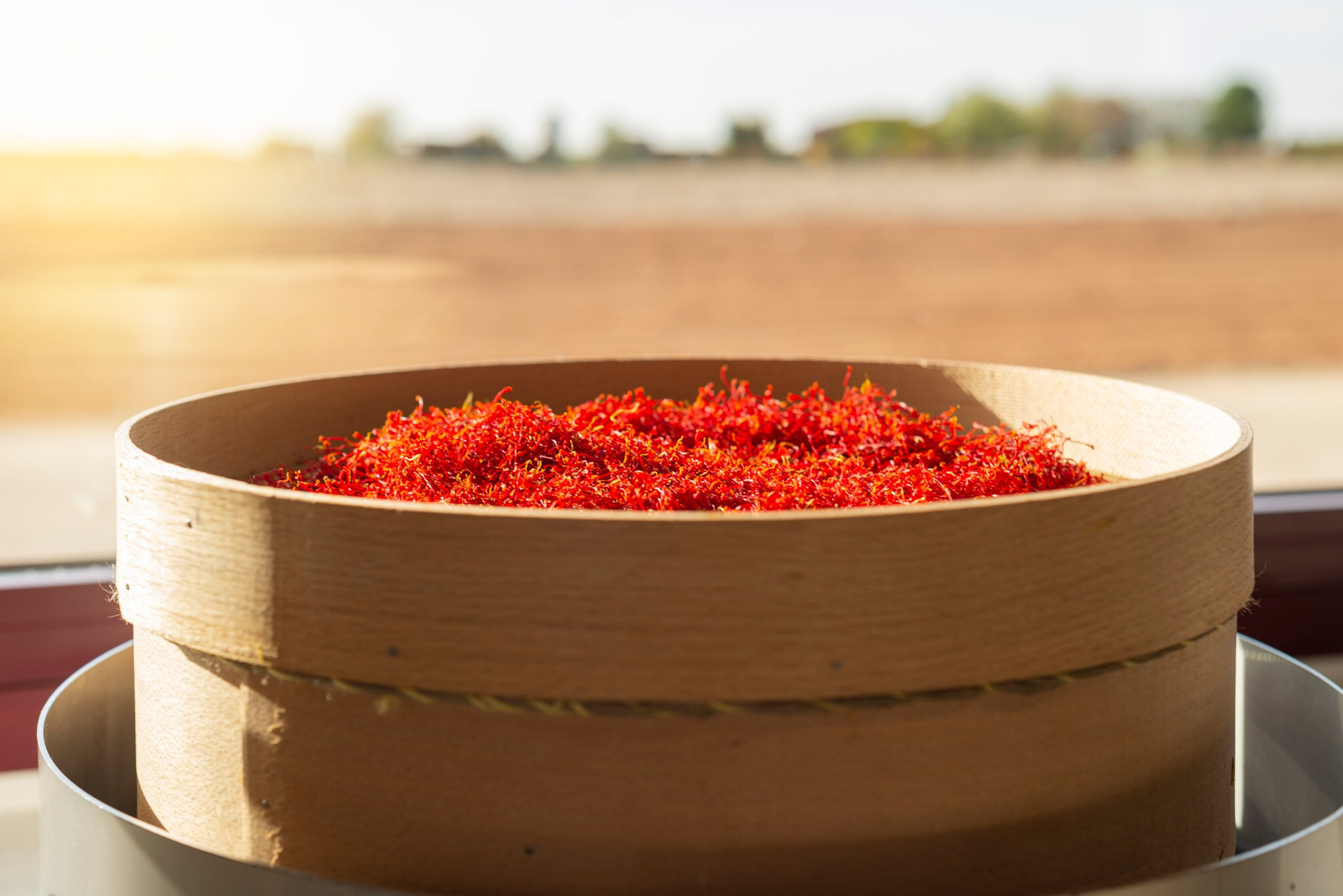 La Monda y el Tostado - OPAZ | Organización de productores de Azafrán